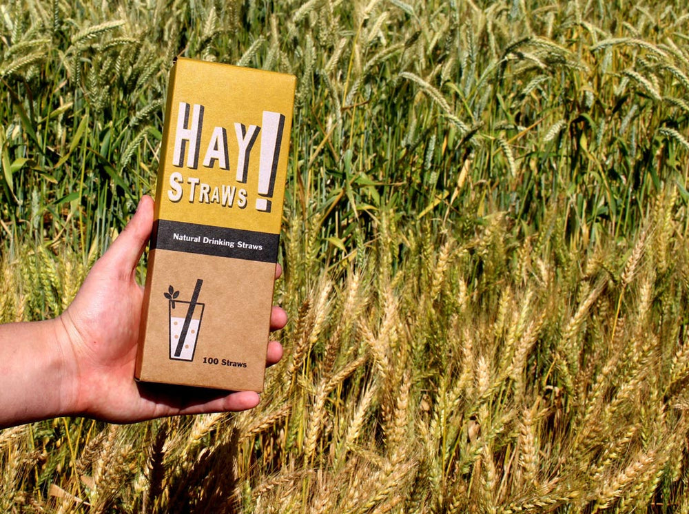 Sustainable Drinking Straw alternatives | 100% Nature | StrawZ