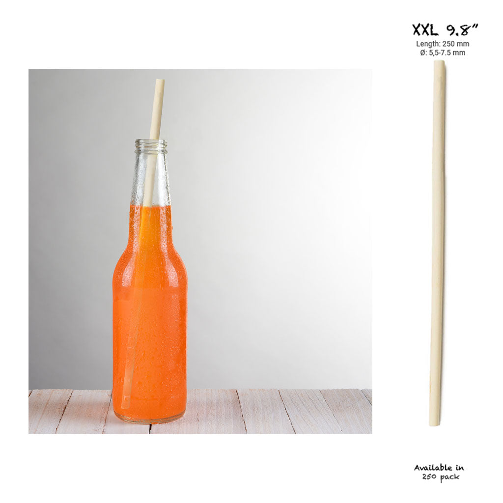 Pick your Sustainable Straws! | Environmentally Friendly | StrawZ